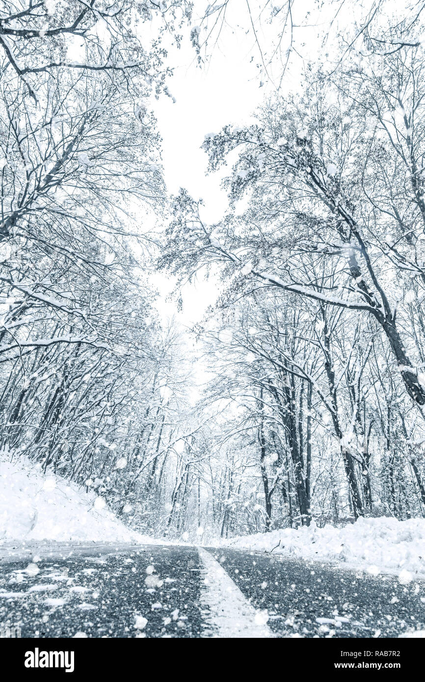Winter forest snow road. Forest road winter snow view Stock Photo - Alamy