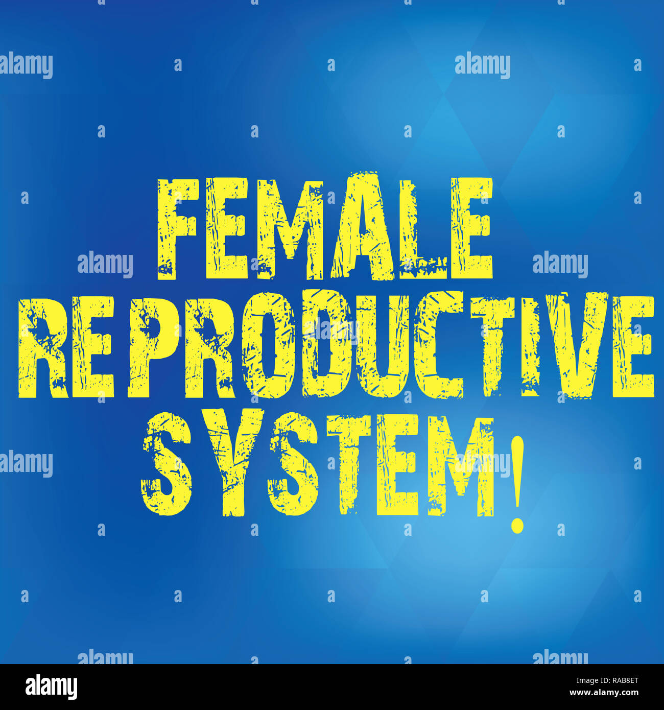 Writing note showing Female Reproductive System. Business photo ...