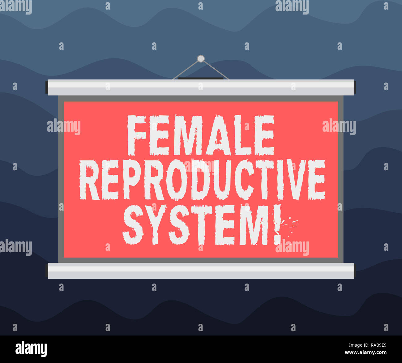 Reproductive System Making New Life: The Reproductive System