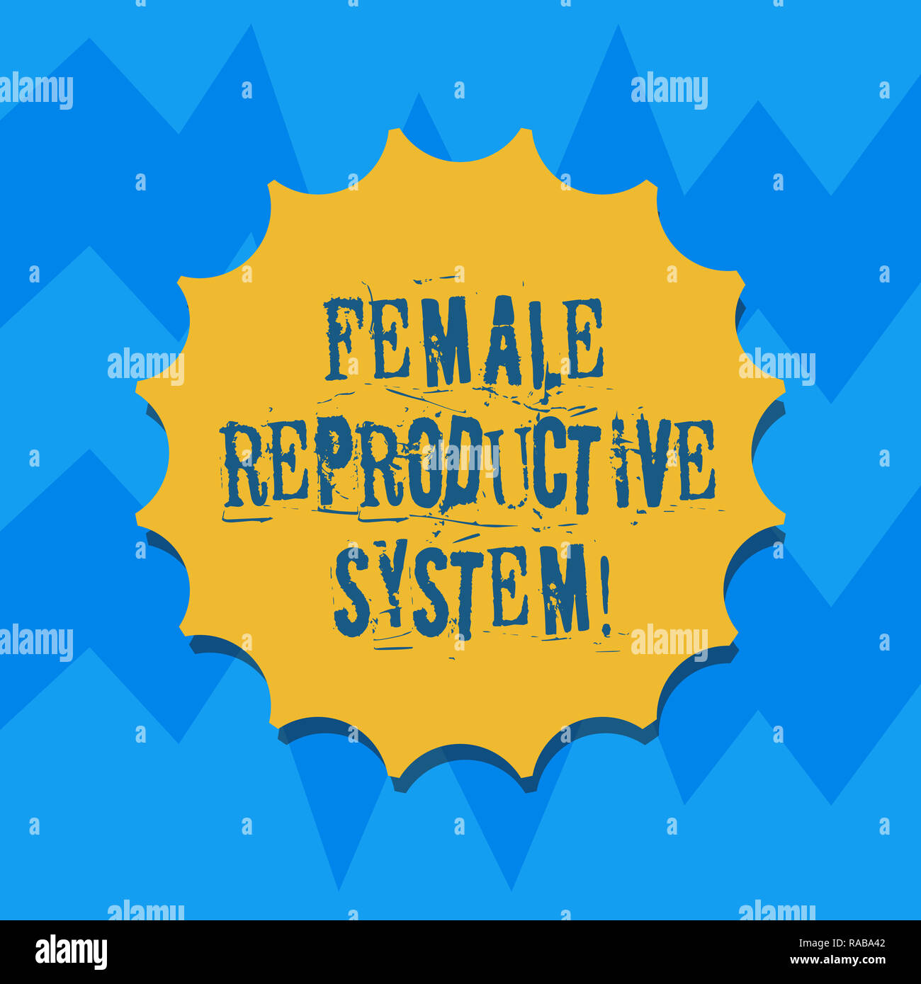 Text sign showing Female Reproductive System. Conceptual photo ...