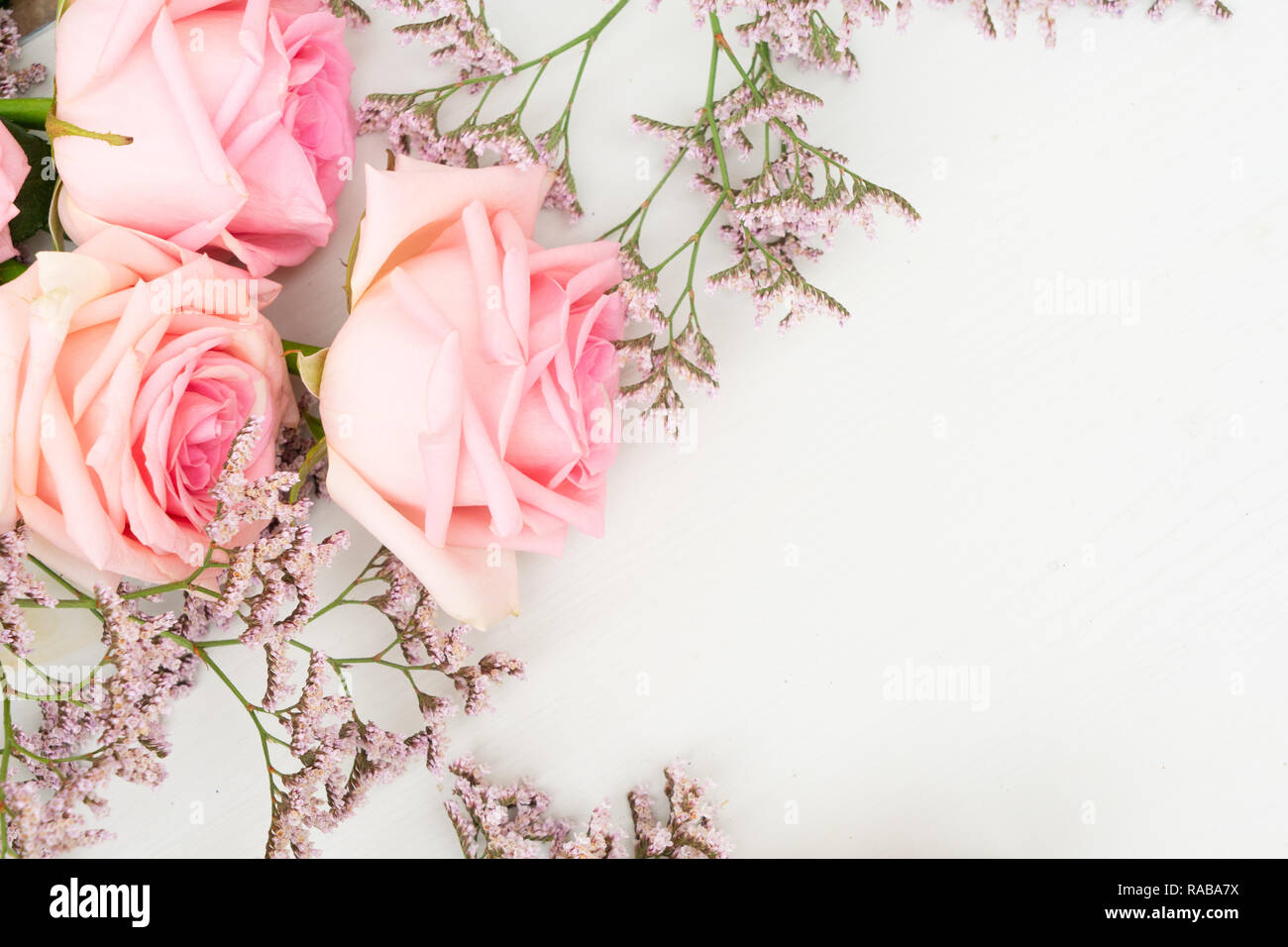 Three rose fresh flowers on table from above close up Stock Photo - Alamy