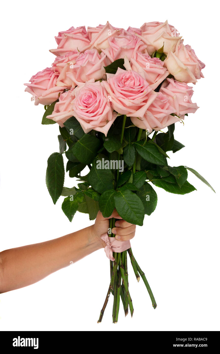 Hand holding rose fresh flowers bouquet on light table from above, flat ...