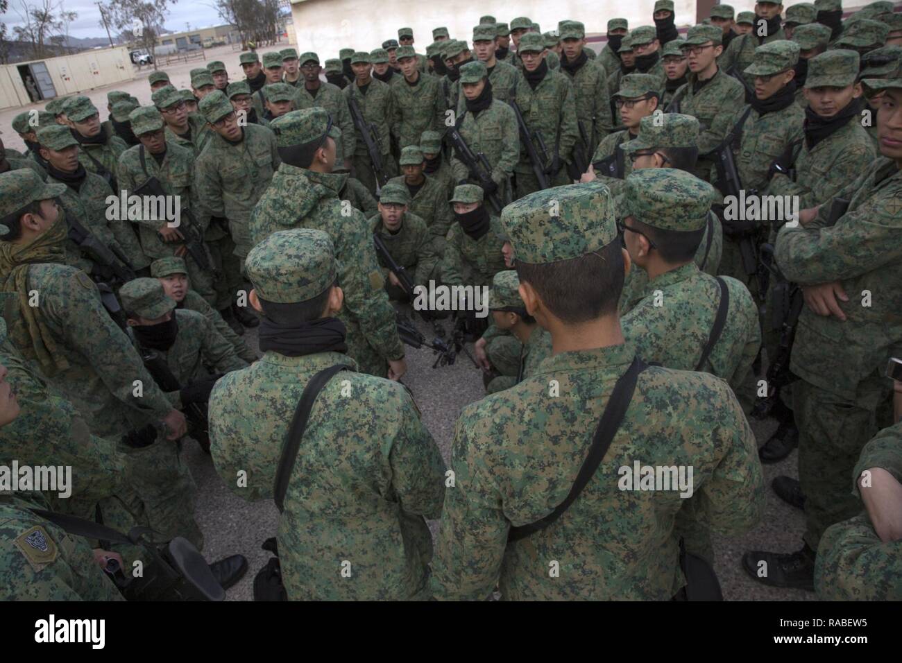 Members of the Singapore Army gather early in the morning for a daily ...