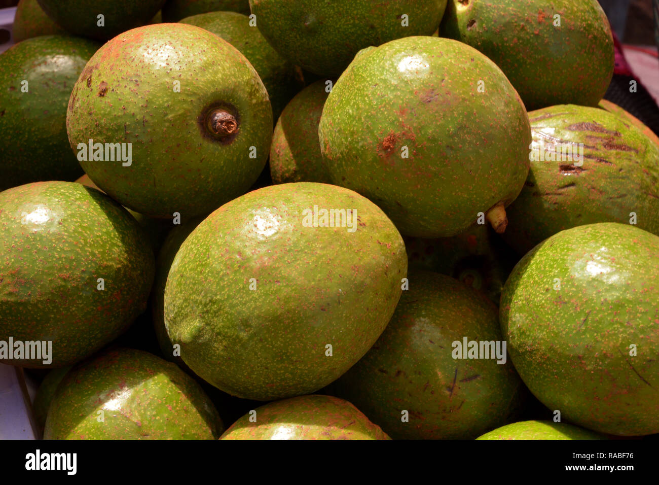 Avocado background, Fresh green avocado, Food background Stock Photo ...