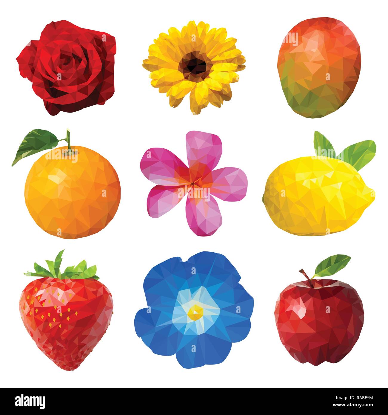 Hibiscus fruits Stock Vector Images - Alamy