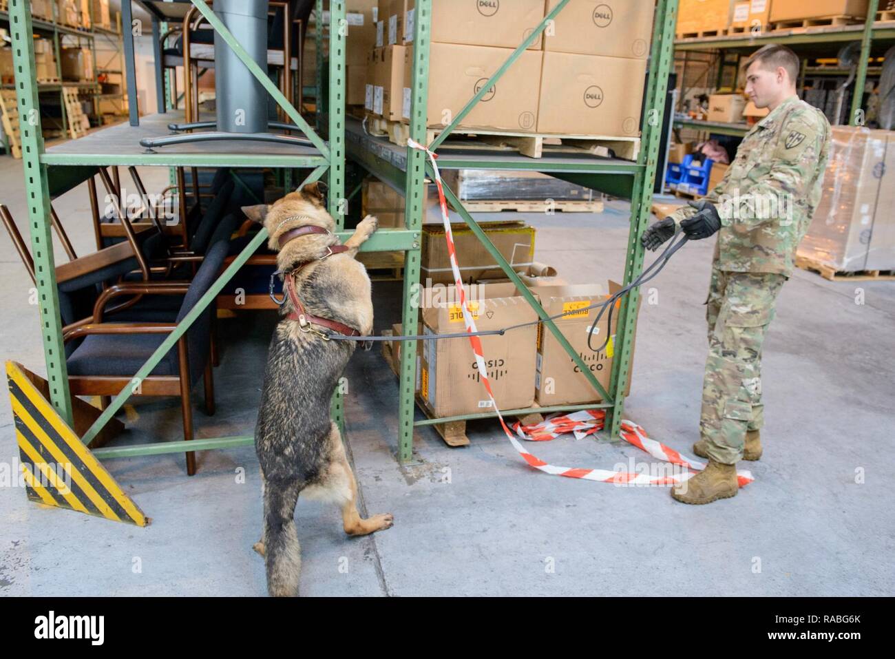 U.S. Army Sgt. Brandon Meyer and Meki, assigned to the 100th Military ...