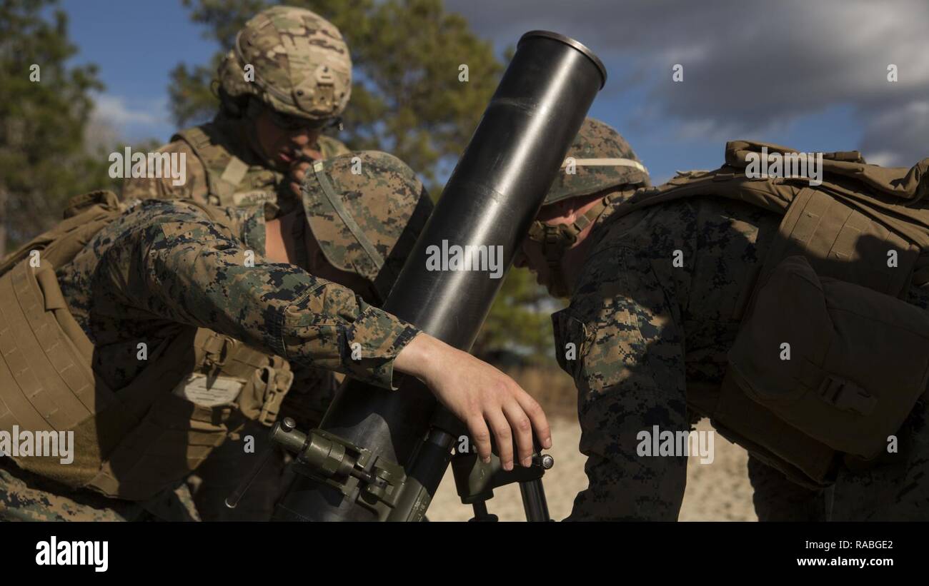 Joint Mortar Shoot High Resolution Stock Photography and Images - Alamy