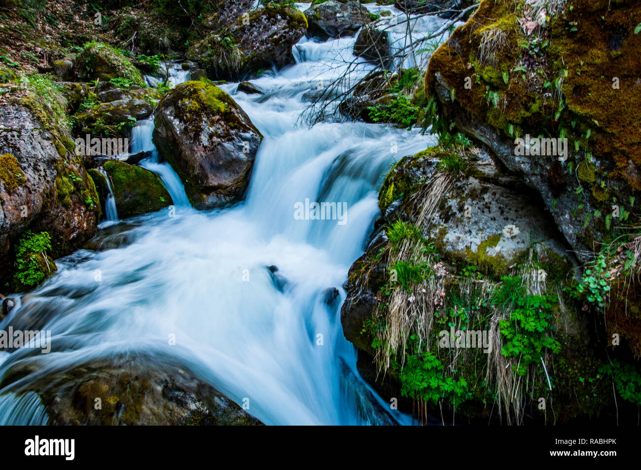 Mountain stream natural landscape at Vranica in Bosnia and Herzegovina ...