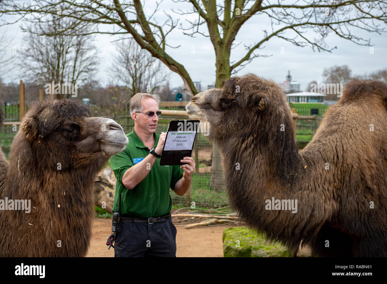 London, United Kingdom. 3rd Jan, 2019. Zookeepers at ZSL London Zoo ...