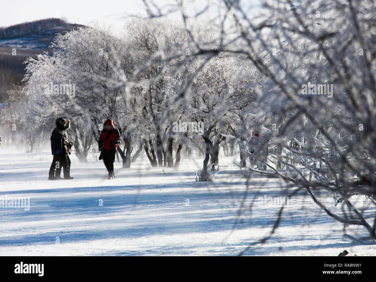 Chifeng, China's Inner Mongolia Autonomous Region. 2nd Jan, 2019 ...