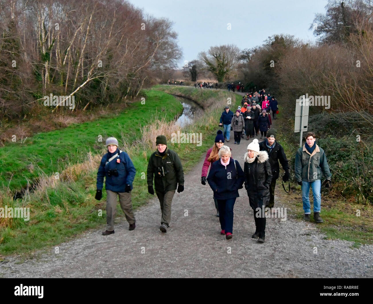 Bitterns ham wall hi-res stock photography and images - Alamy