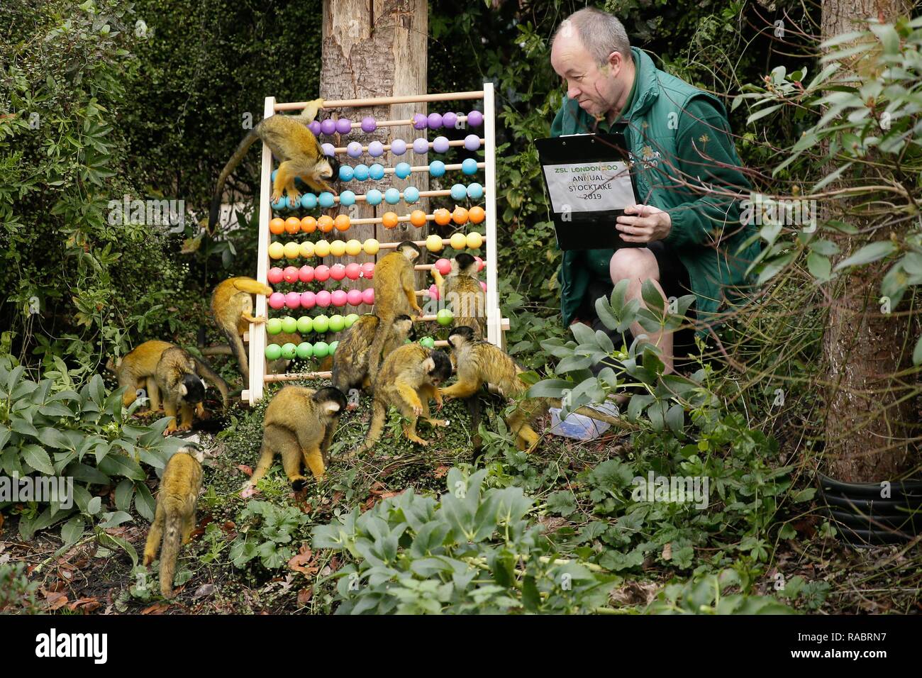 London, Britain. 3rd Jan, 2019. Zoo staff member Tony Cholerton count ...