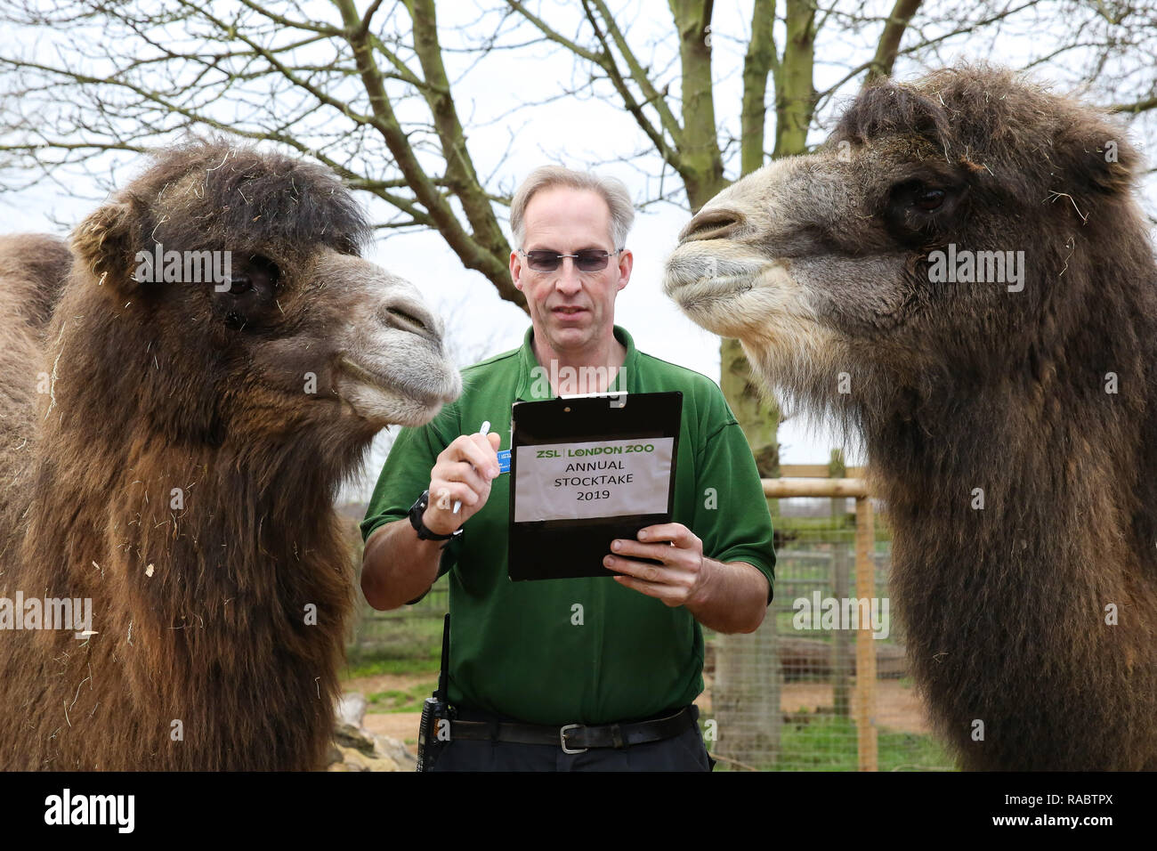 London zoo keeper hi-res stock photography and images - Alamy