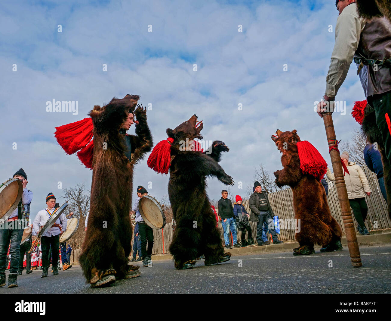 Performers dressed in bear skins dancing during an end of year festival ...