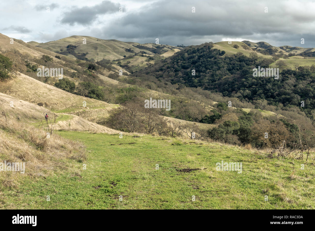 A Hiker in Green Hills Country under Dramatic Clouds, Sunol Regional ...