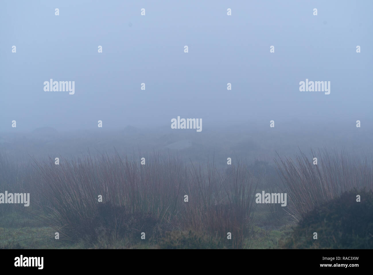 Heavy fog in Wales, UK Stock Photo - Alamy