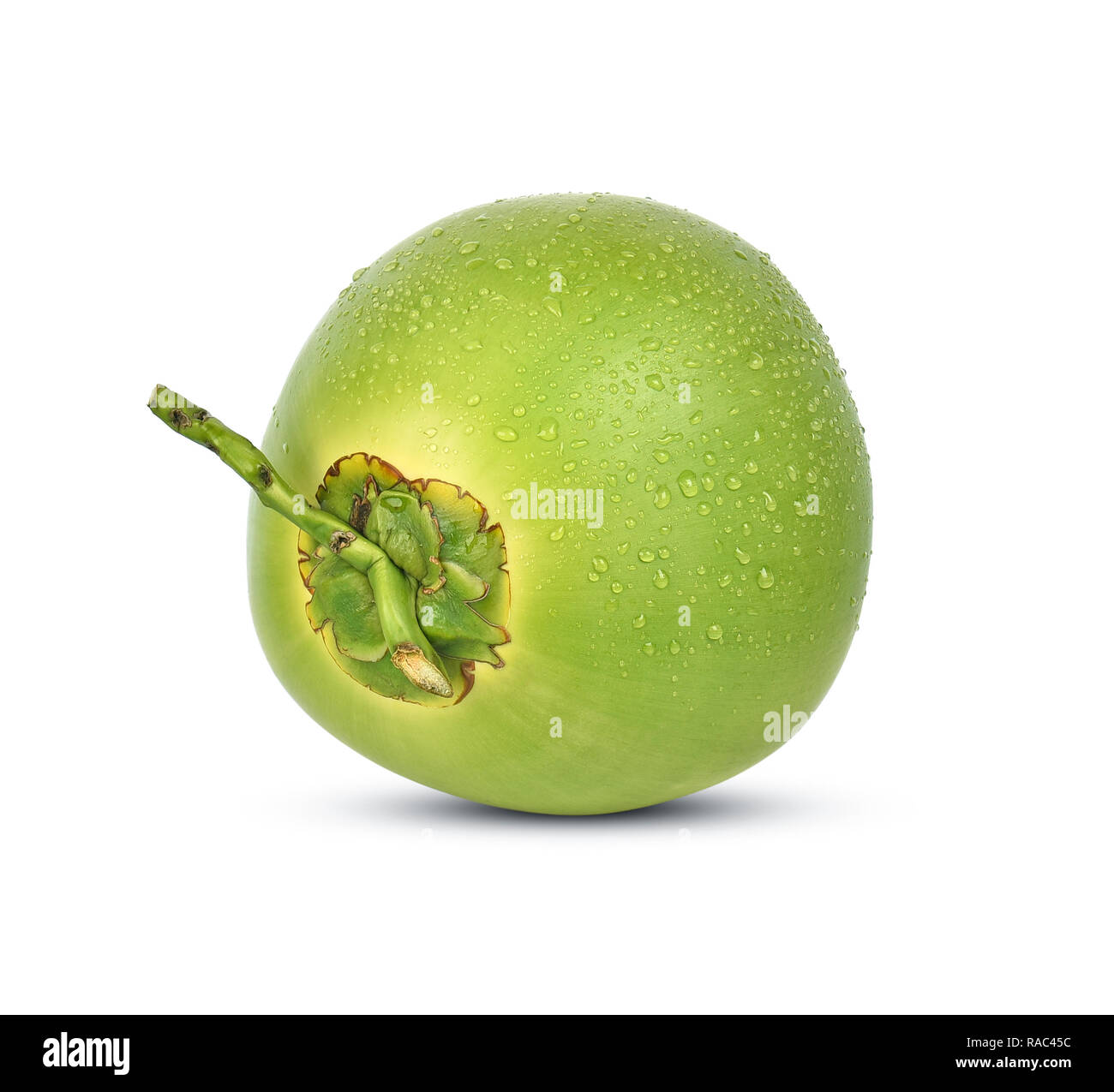 water drop green coconut isolated on white background Stock Photo - Alamy