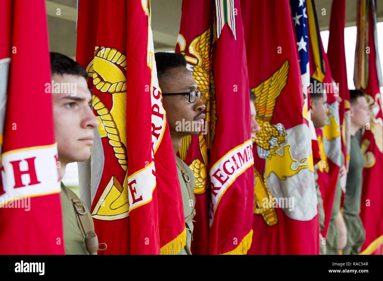 Caltrap hi-res stock photography and images - Alamy