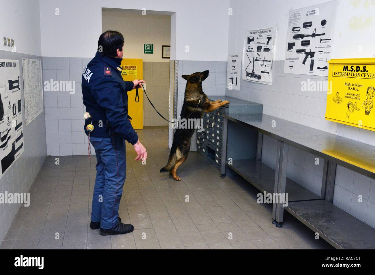 Italian military working dog Zeus and his handler Deputy Inspector ...