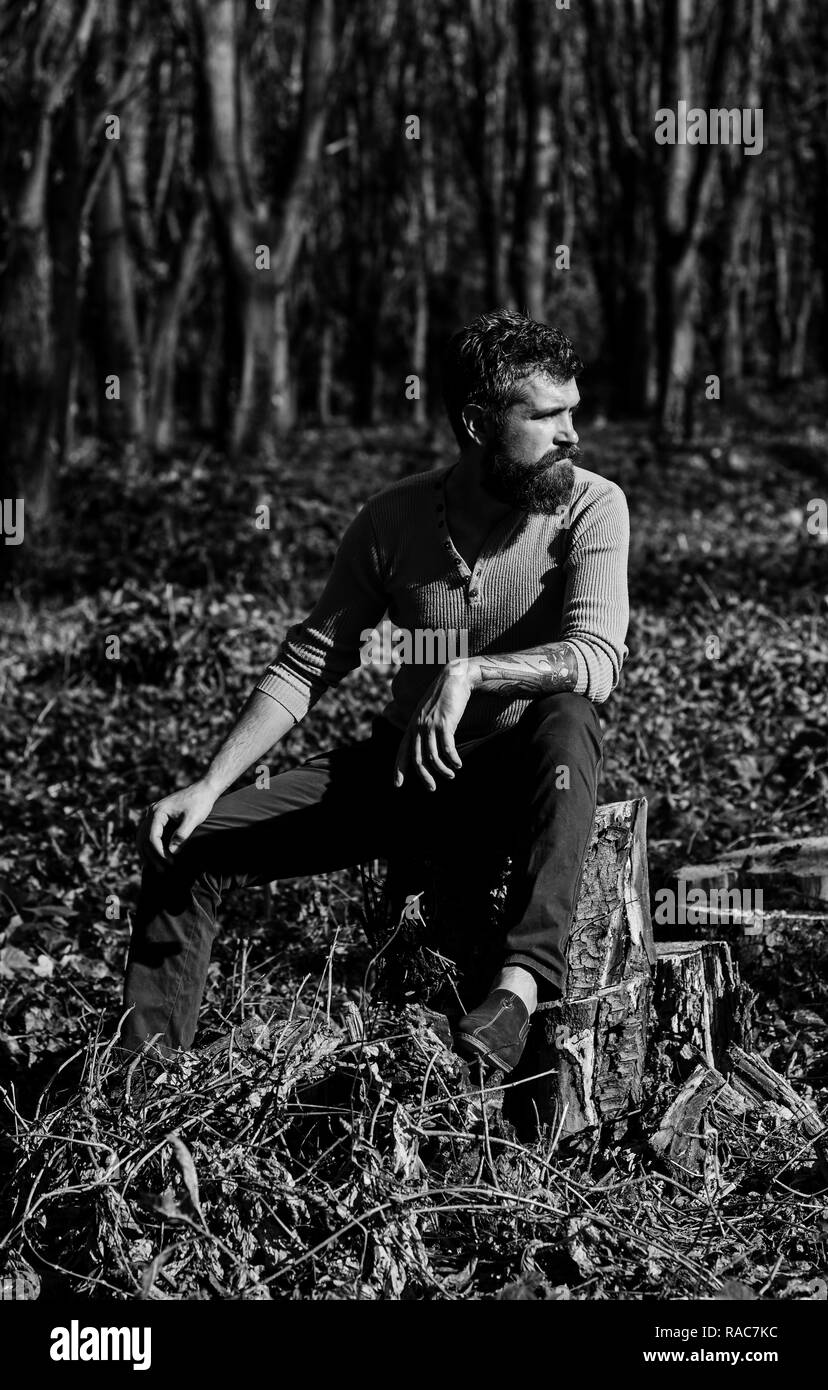 Guy with beard sits on tree stump in forest. Loneliness and autumn ...