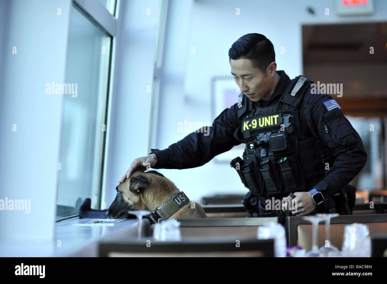 Canine explosive detection team hi-res stock photography and images - Alamy