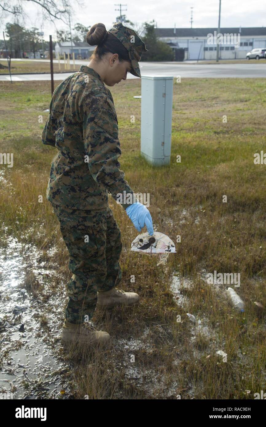 U.S. Marine Corps Lance Cpl. Ashley Gomez, combat photographer ...