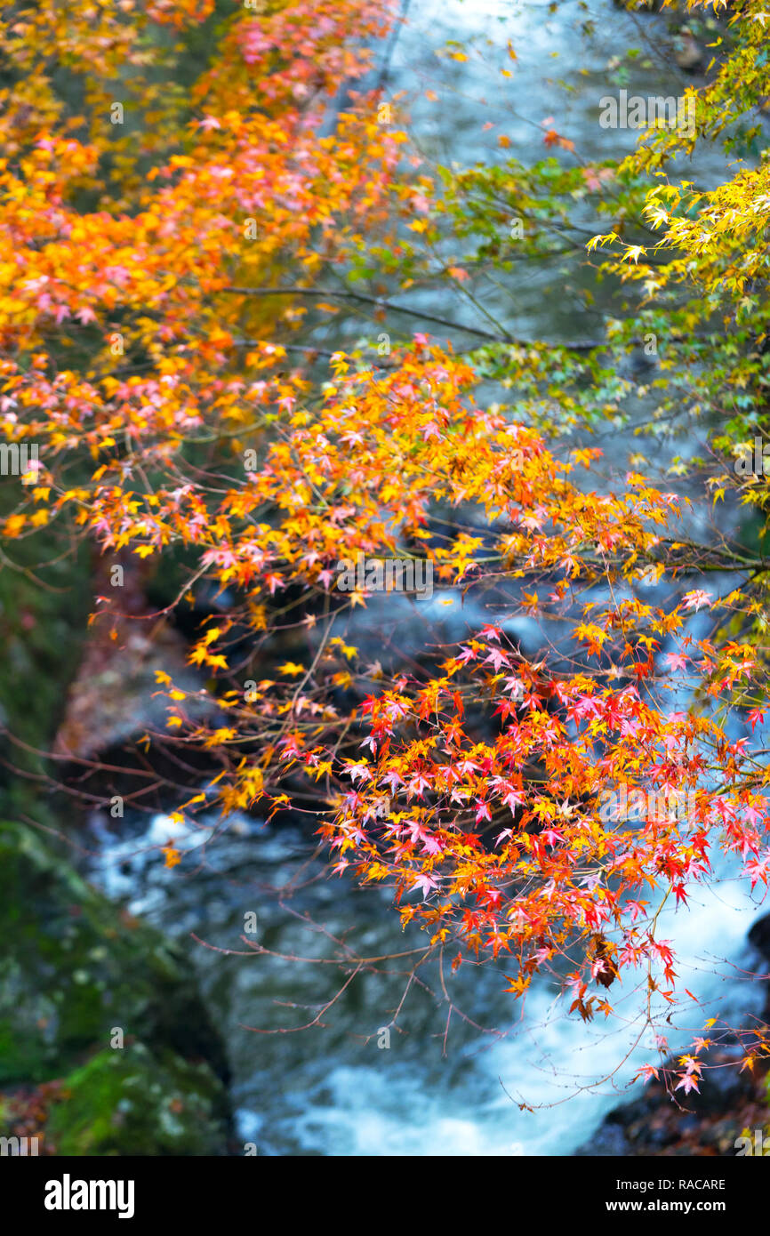 Minoo hi-res stock photography and images - Alamy