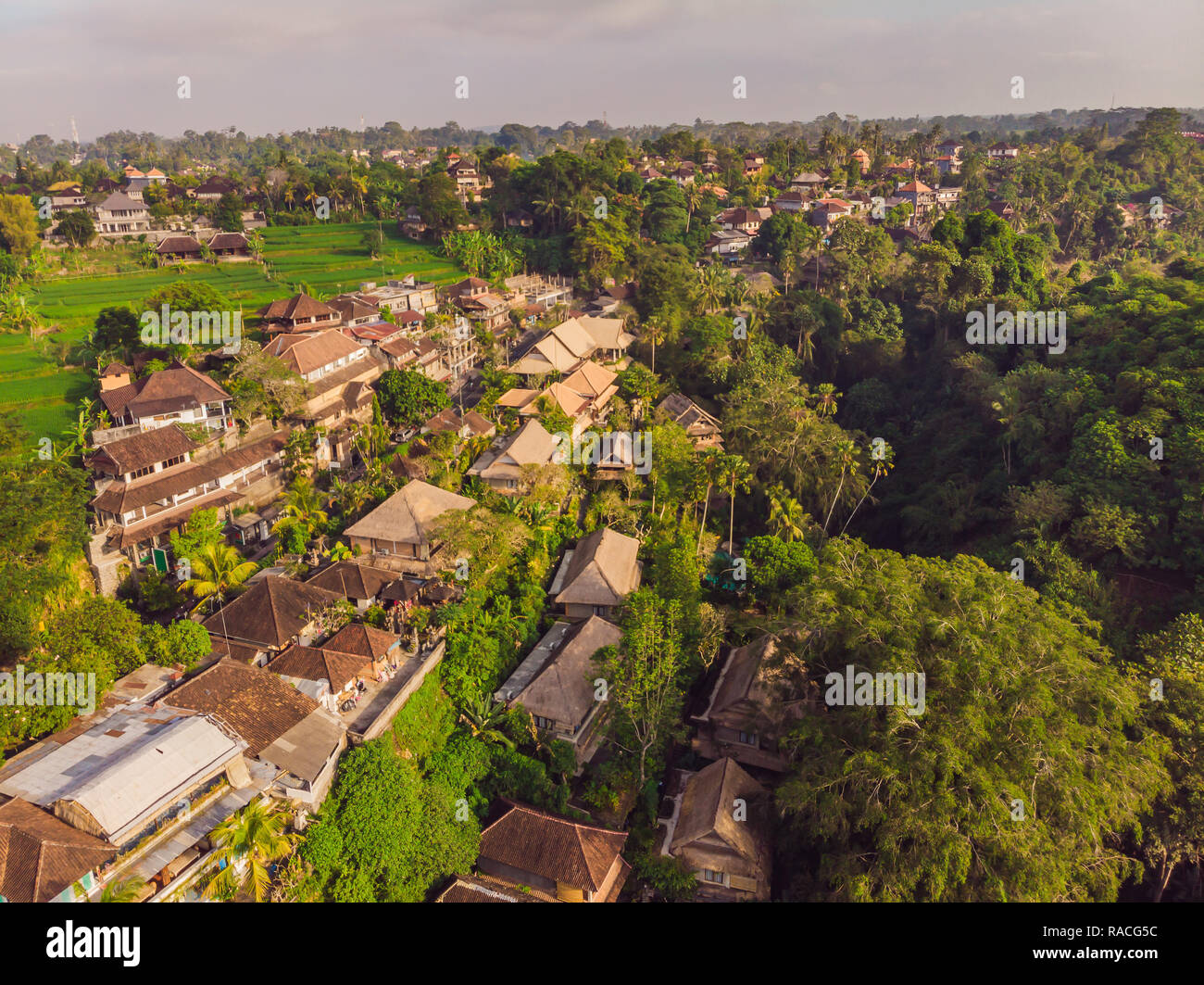 Photo from drone, Ubud. Aerial Landscapes in Ubud, Bali, Indonesia ...