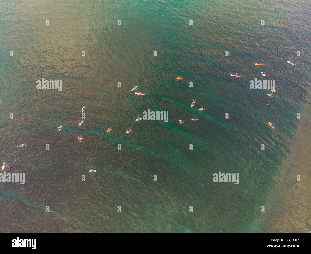 Bondi beach surfers drone hi-res stock photography and images - Alamy