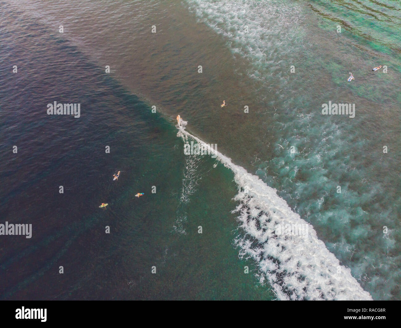 Bondi beach surfers drone hi-res stock photography and images - Alamy