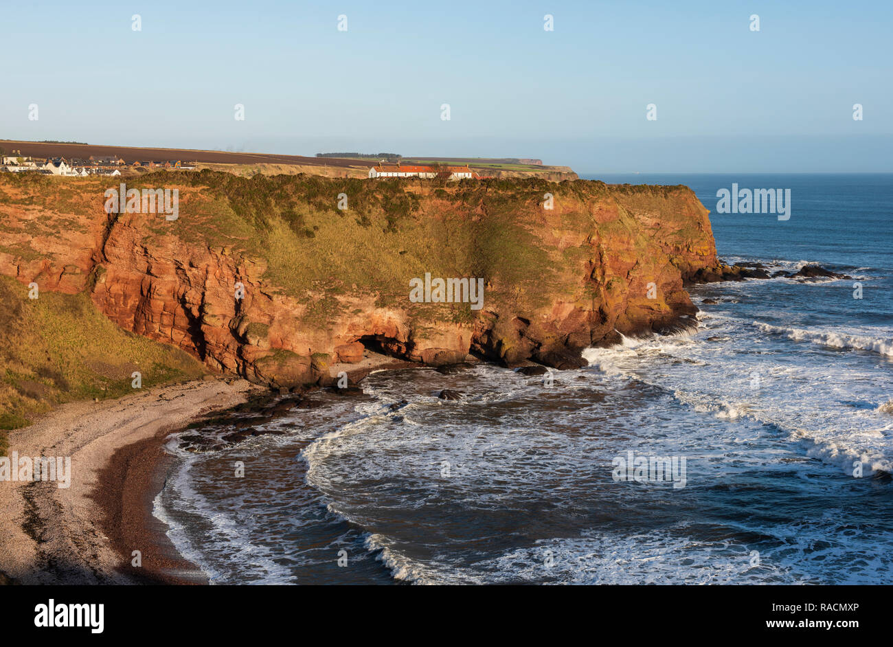 Red sandstone cliffs between Auchmithie and Arbroath Stock Photo - Alamy