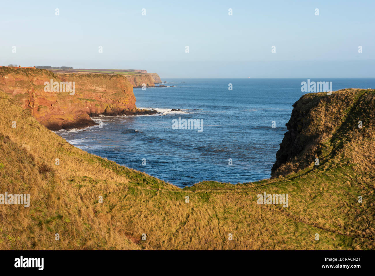 Red sandstone cliffs between Auchmithie and Arbroath Stock Photo - Alamy