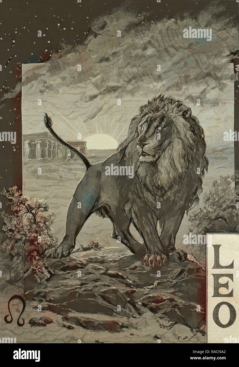 Leo, Sign of the Zodiac, Lion, nineteenth century engravin. Reimagined ...