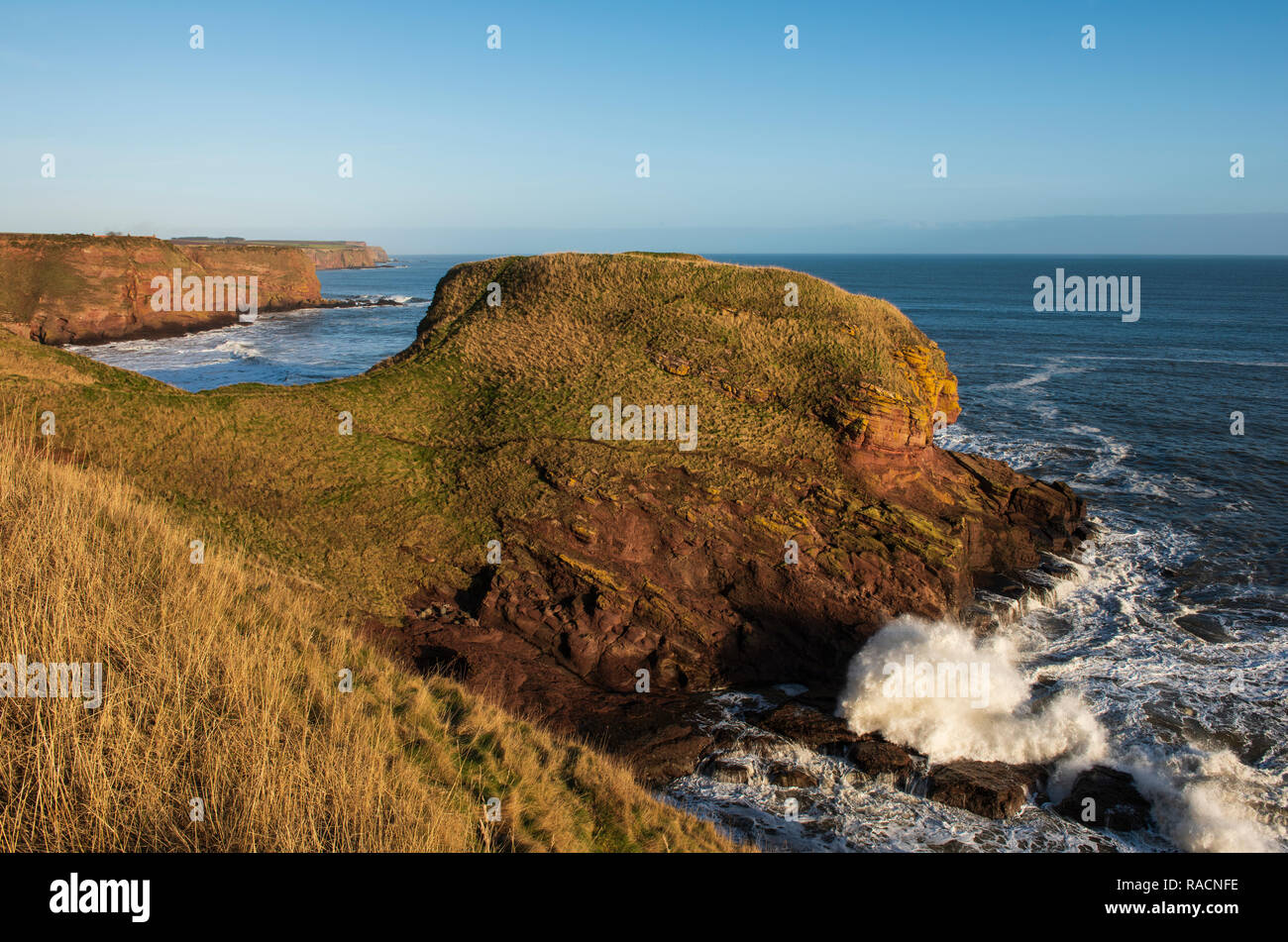 Red sandstone cliffs between Auchmithie and Arbroath Stock Photo - Alamy