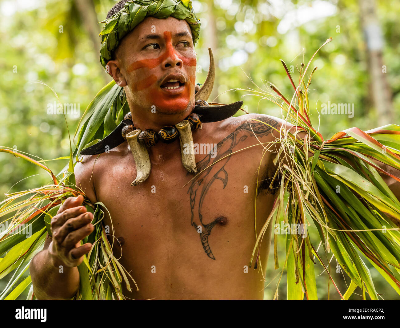 Portrait traditional french polynesian tribal hi-res stock photography ...