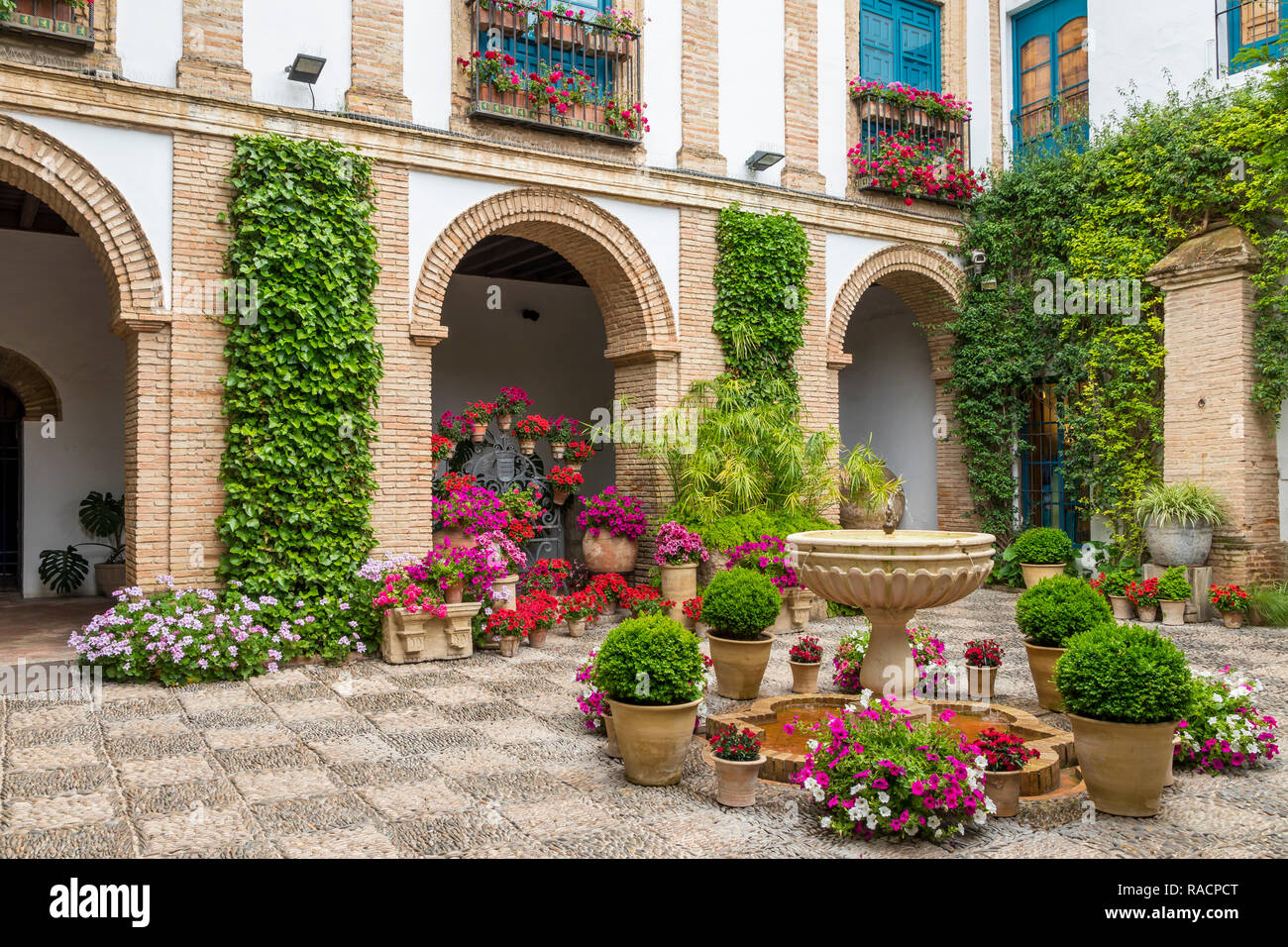Traditional formal courtyard garden hi-res stock photography and images ...