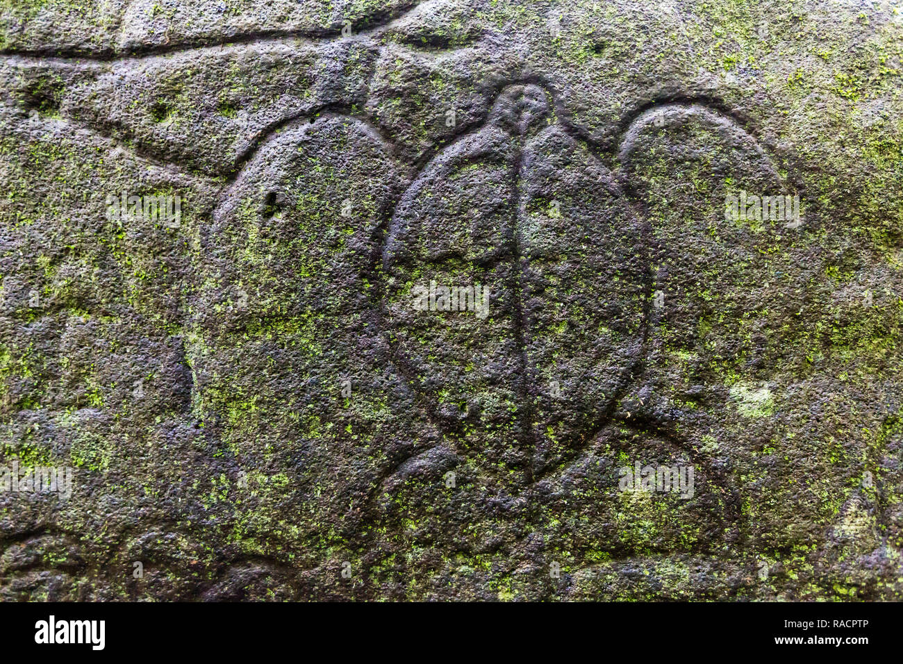 Petroglyphs carved into basalt on sacred ground at Hatiheu, Nuku Hiva ...