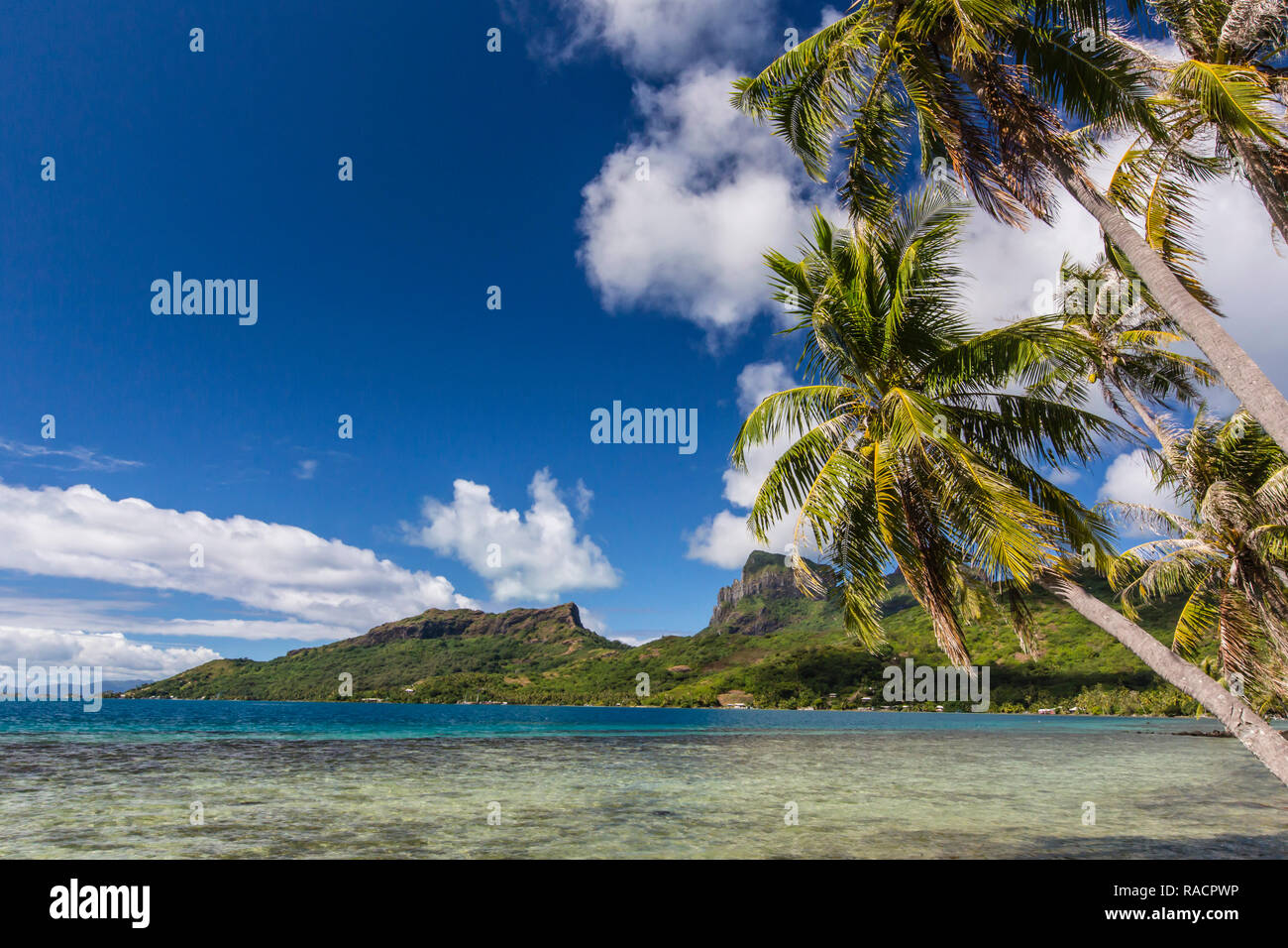 Palm lined inner lagoon of Bora Bora, Society Islands, French Polynesia ...