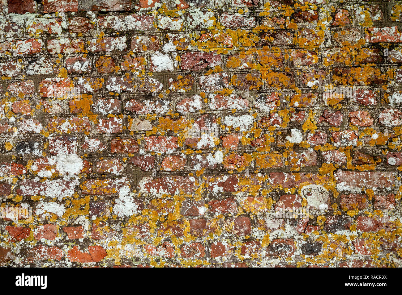 Tudor Bricks in wall, Pattern, Tudor Style, Architect, Architecture ...