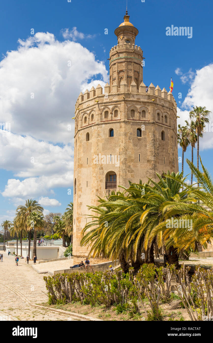 Golden Tower (Torre del Oro), Seville, Andalusia, Spain, Europe Stock ...