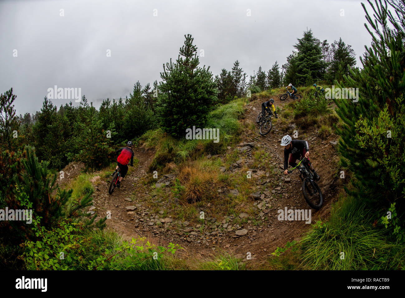 A group of mountain bikers ride a trail at Glyncorrwg in the Afan ...