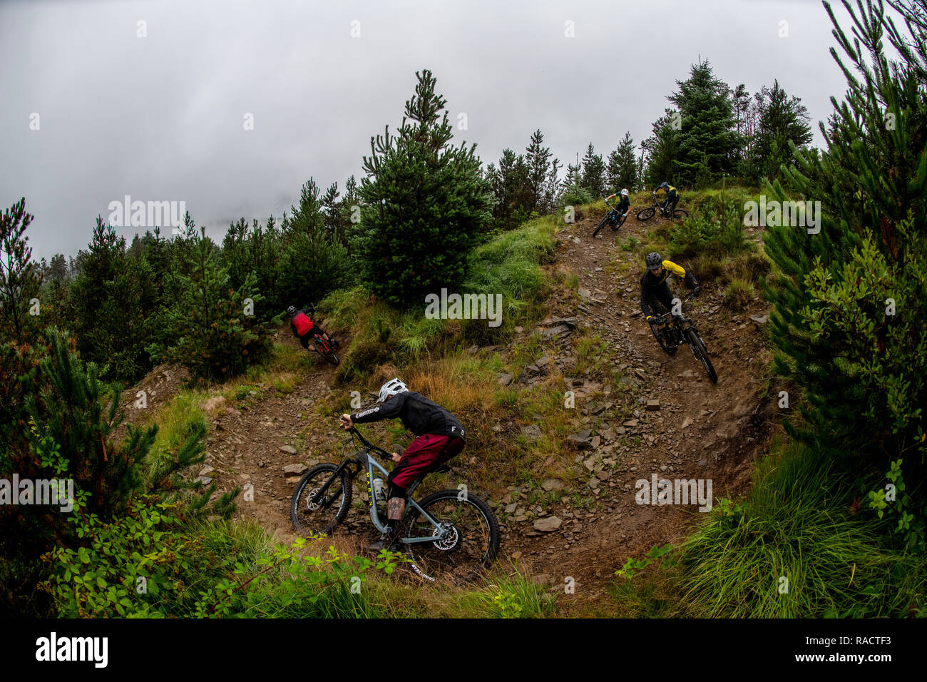 A group of mountain bikers ride a trail at Glyncorrwg in the Afan ...