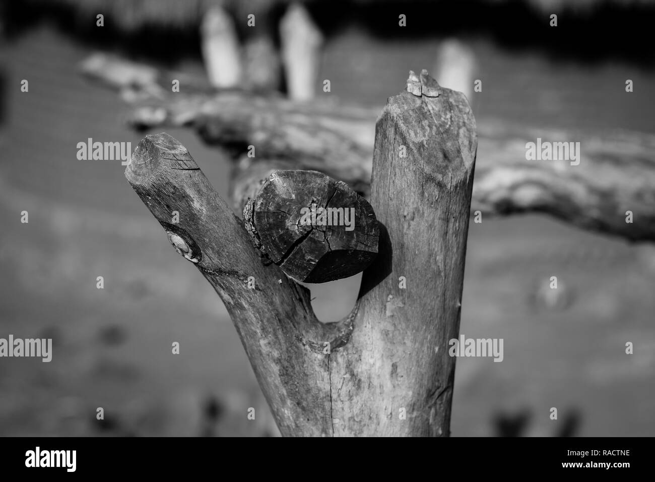 Traditional African grain drying storage being constructed Stock Photo ...