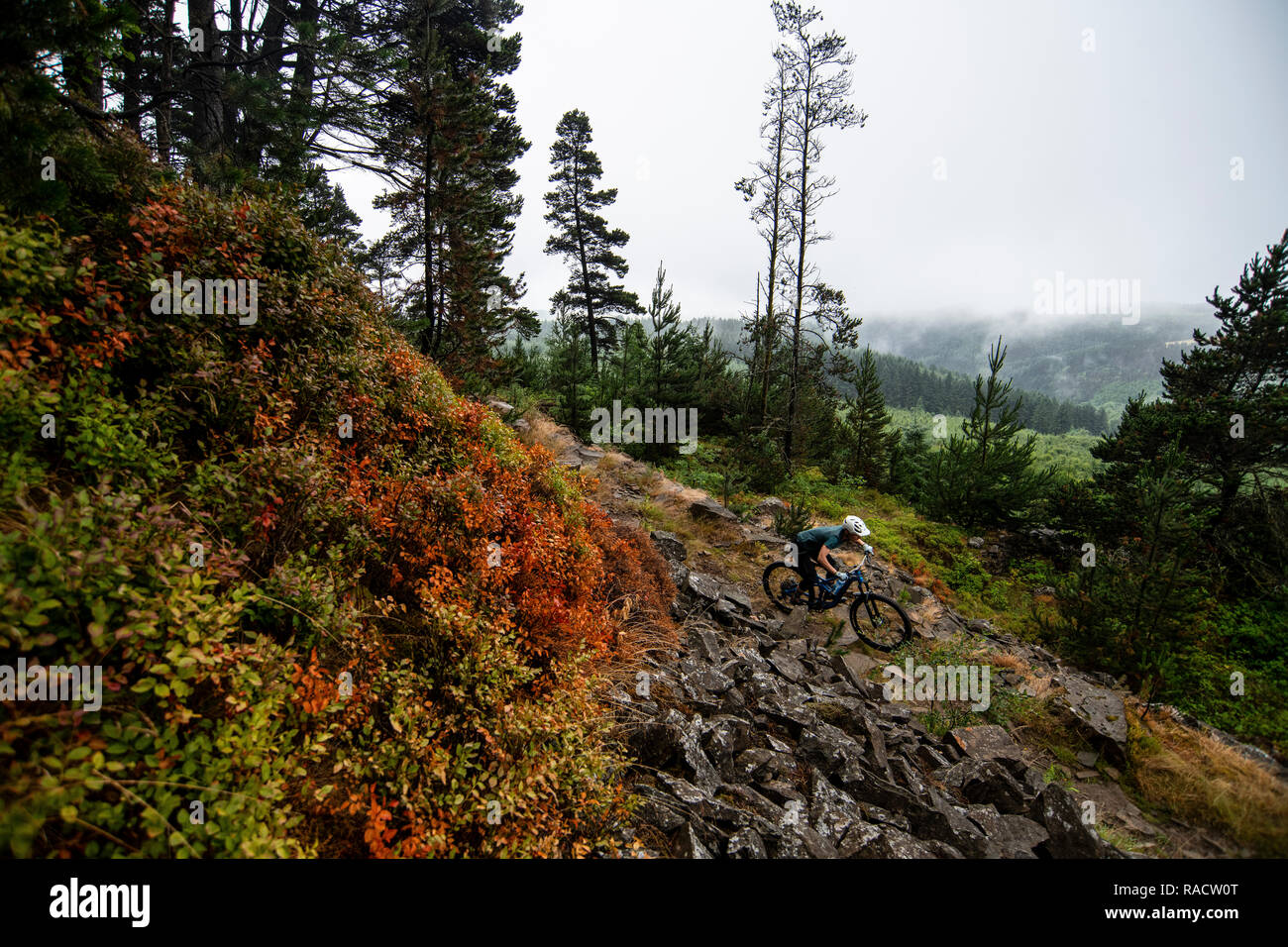 A woman rides a mountain bike trail at Glyncorrwg in the Afan Valley in ...