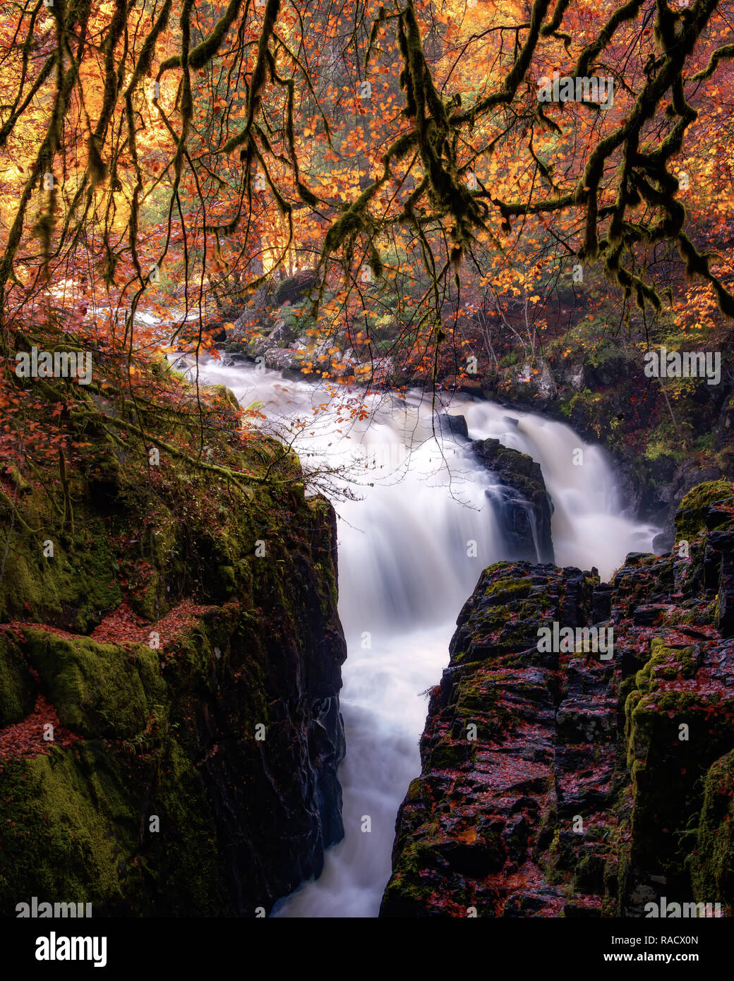 Waterfall river dunkeld scotland hi-res stock photography and images ...