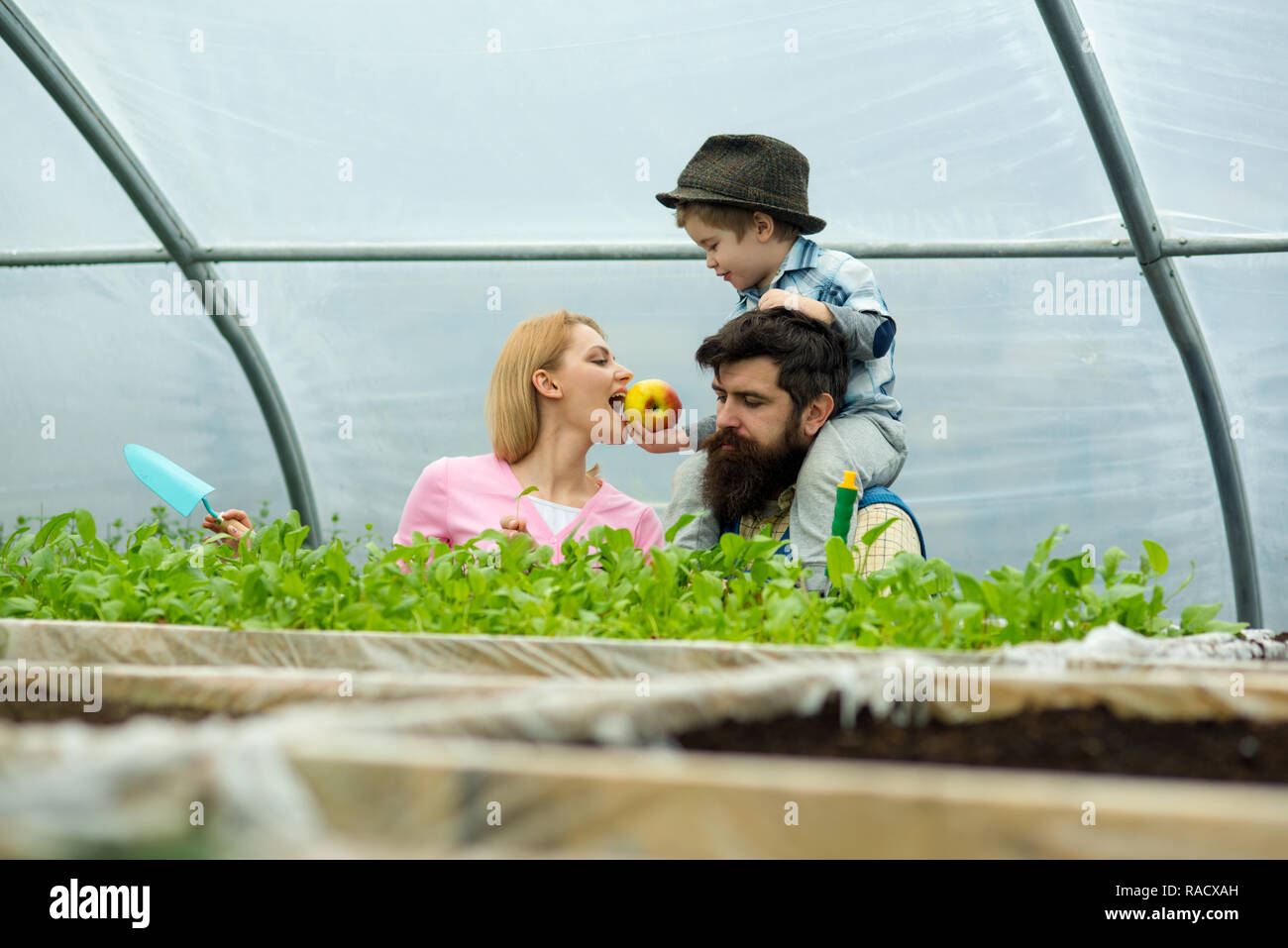 organic products. growing organic products. organic products industry ...