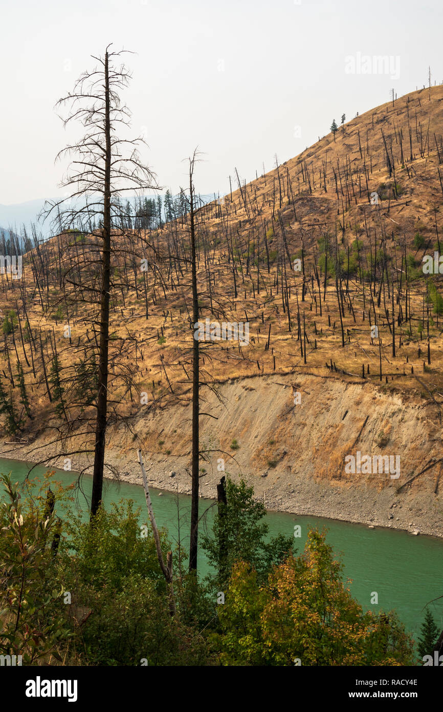Deforestation vertical hi-res stock photography and images - Alamy