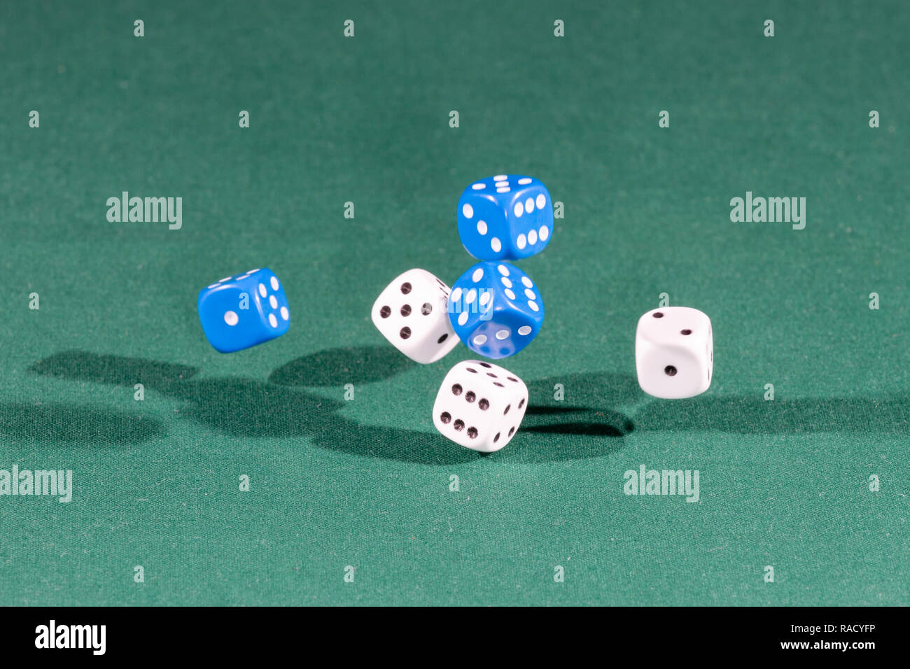 Six white and blue dices falling on a green table Stock Photo - Alamy