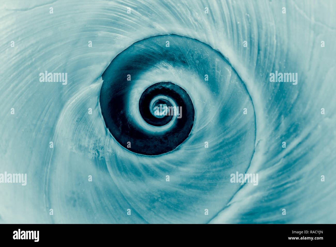 Cyanotype nature hi-res stock photography and images - Alamy