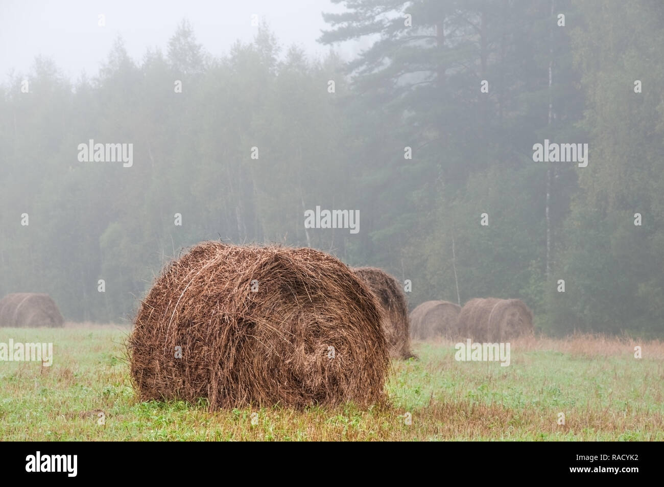 Landscape with a haystack hi-res stock photography and images - Alamy